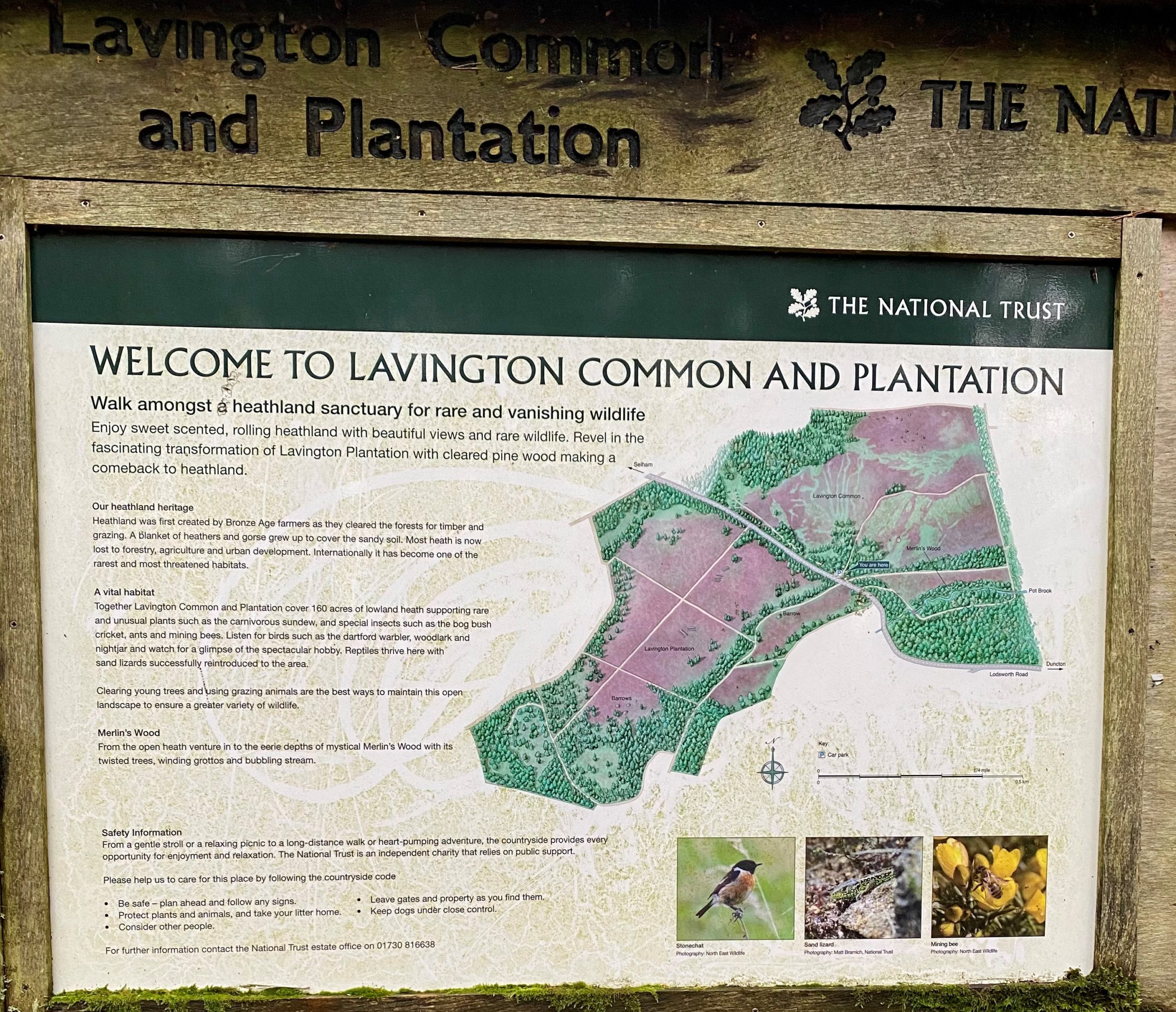 Walk the Serpent Trail | Surrey, Hampshire & Sussex