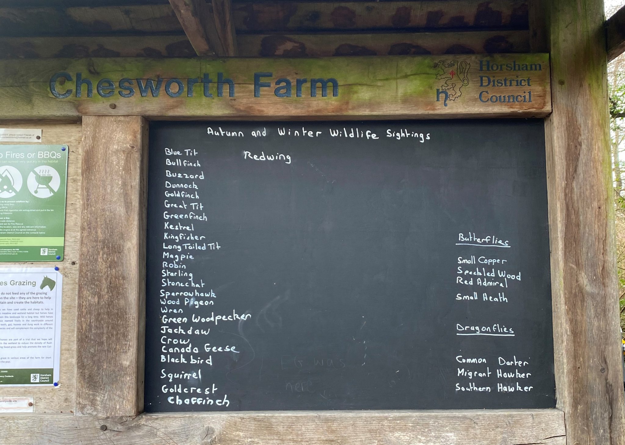 Chesworth Farm Walk, Horsham | Horsham Circular Walk