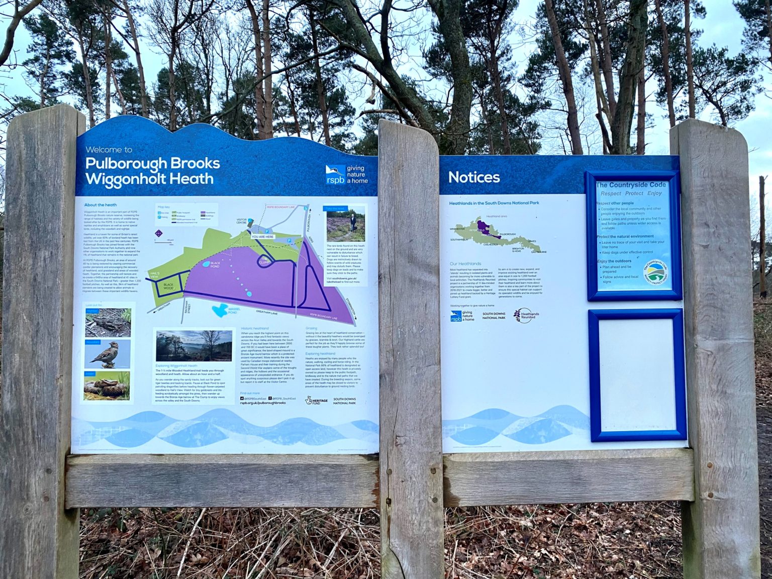 Puborough Brooks Short Circular Walk | Pulborough Walks