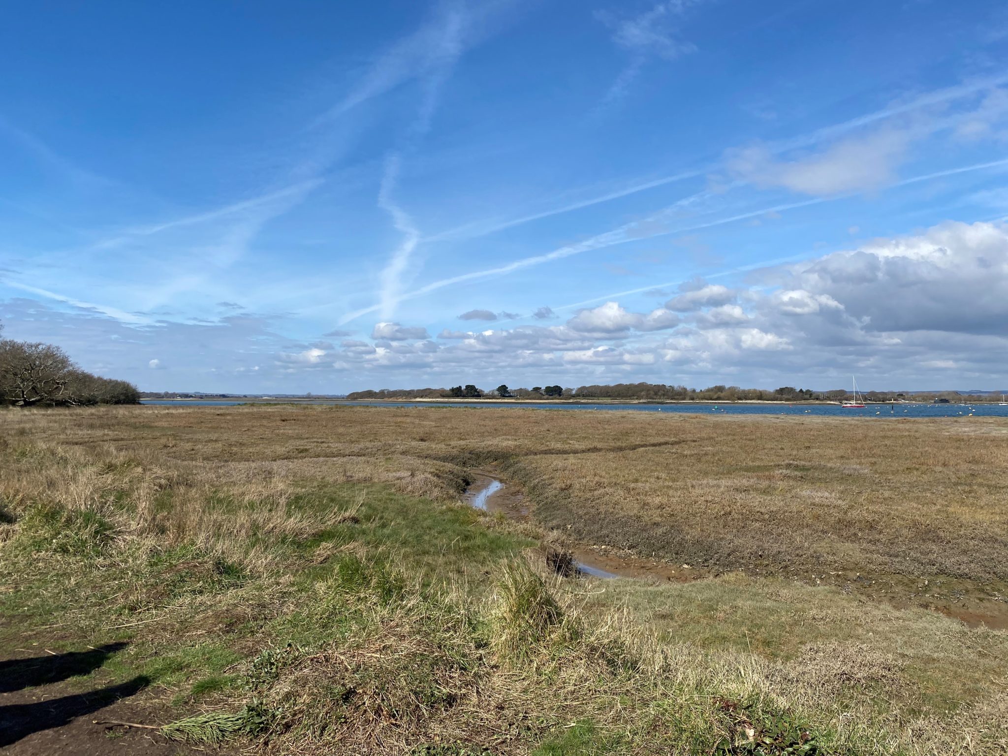 Walk from Itchenor to West Wittering | Walks Near Chichester
