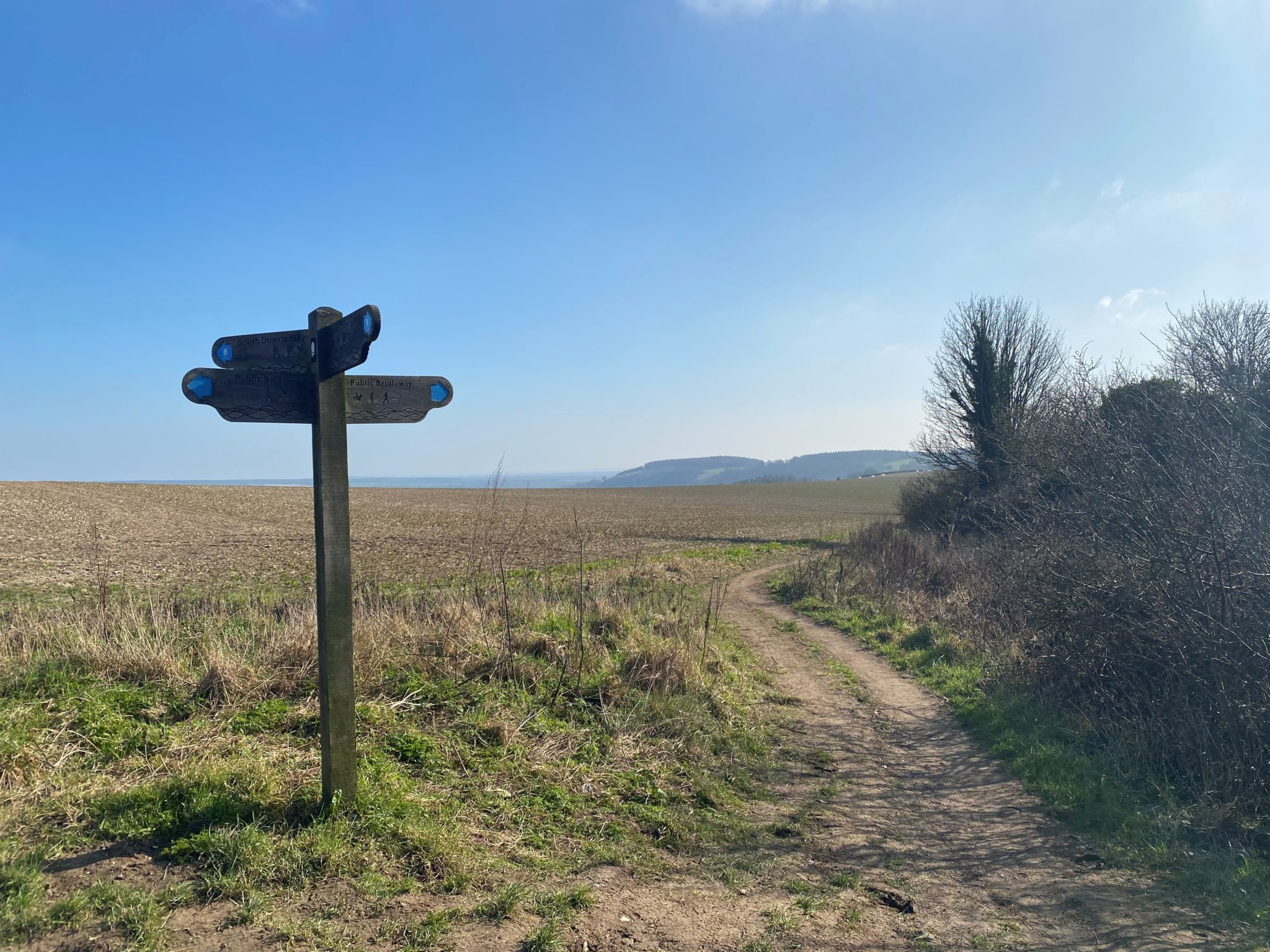 Bignor Hill Circular Walk | South Downs Way Walks