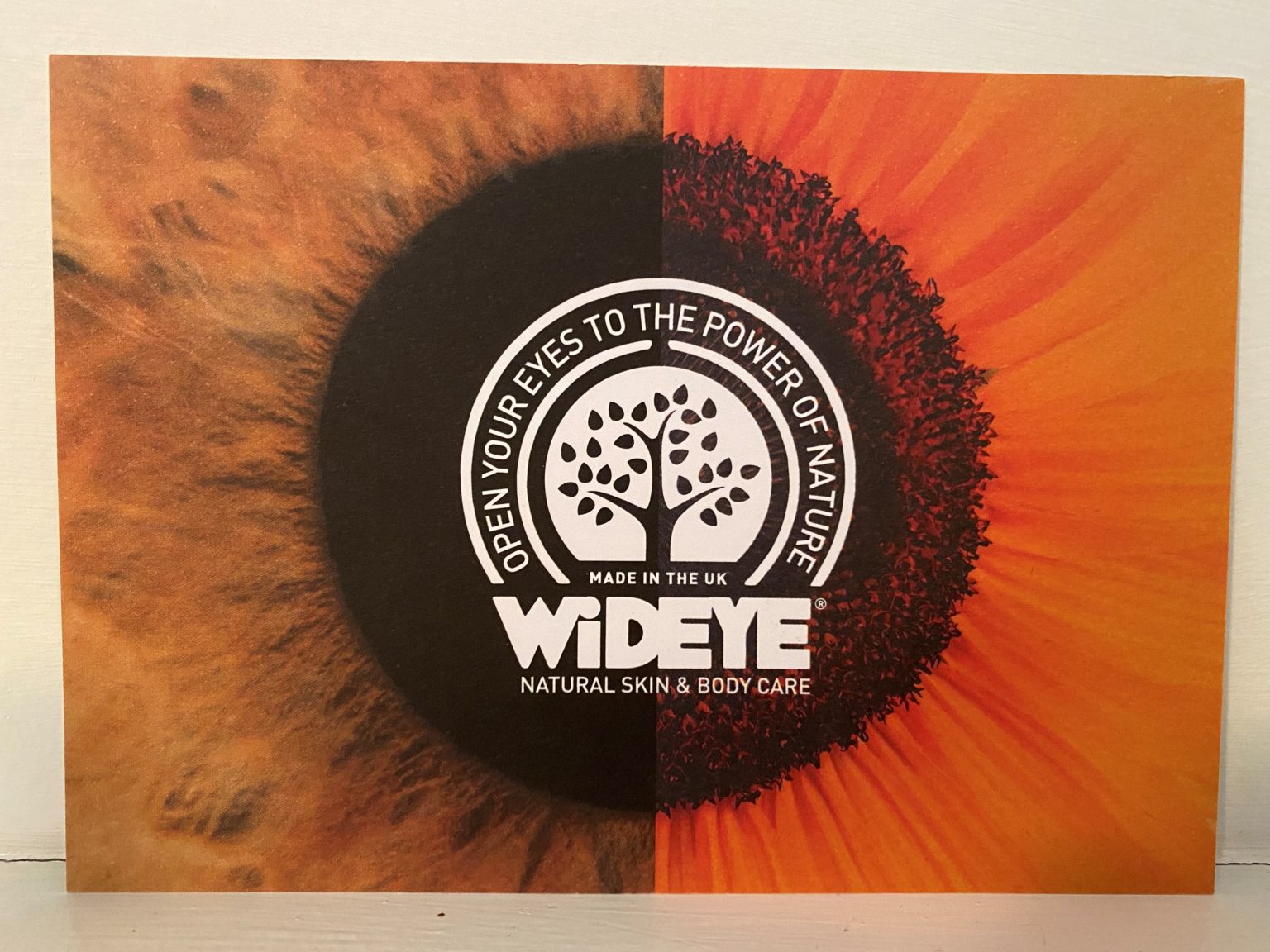 WiDEYE - Discover Sussex