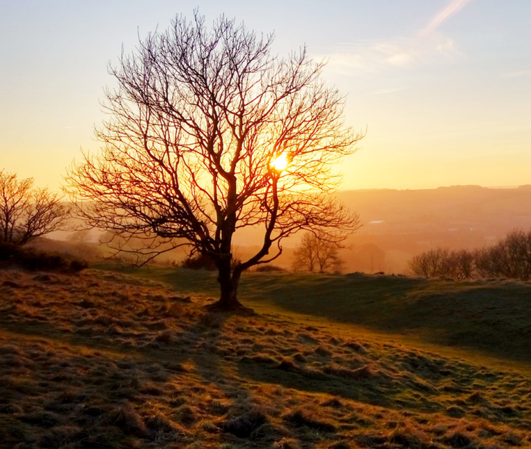 Bosham Circular Walk - Discover Sussex