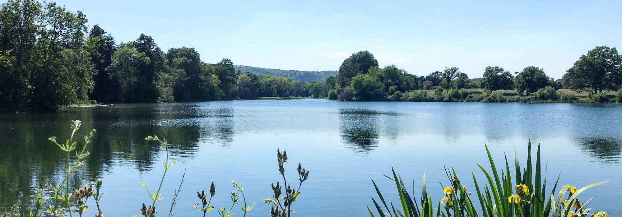 Walk the Serpent Trail | Surrey, Hampshire & Sussex