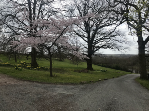 Balcombe Viaduct and Ardingly Reservoir Walk | Balcombe Circular Walk