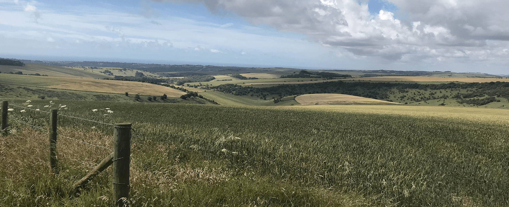 Ditchling Beacon Walk | Jack & Jill Windmills