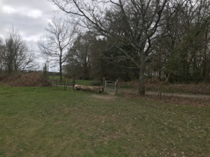 Balcombe Viaduct and Ardingly Reservoir Walk | Balcombe Circular Walk