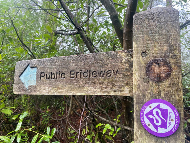Walk the Serpent Trail | Surrey, Hampshire & Sussex