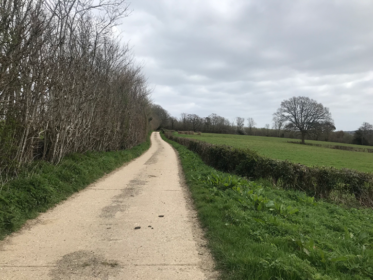 14km Balcombe Viaduct and Ardingly Reservoir Circular Walk