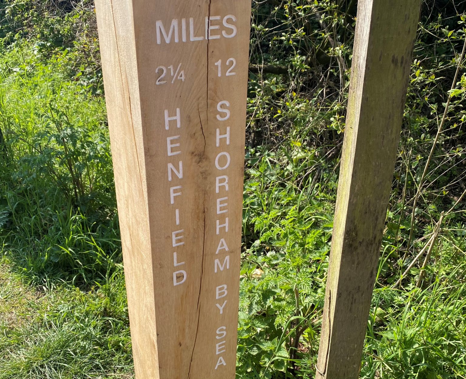 Cycling the Downs Link | Easy Cycling in Sussex