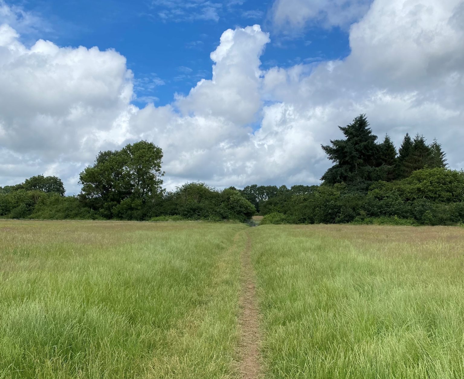 Horsham Riverside Walk | Long Distance Trails Sussex