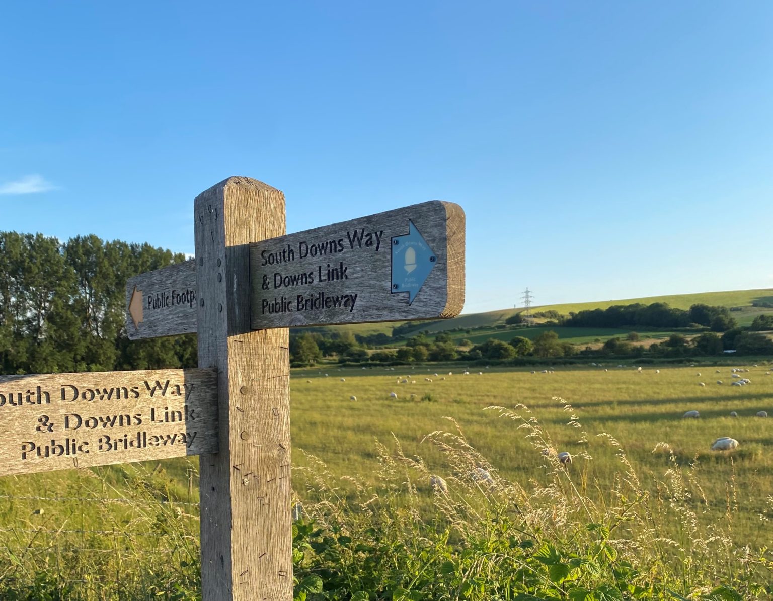 Cycling the Downs Link | Easy Cycling in Sussex