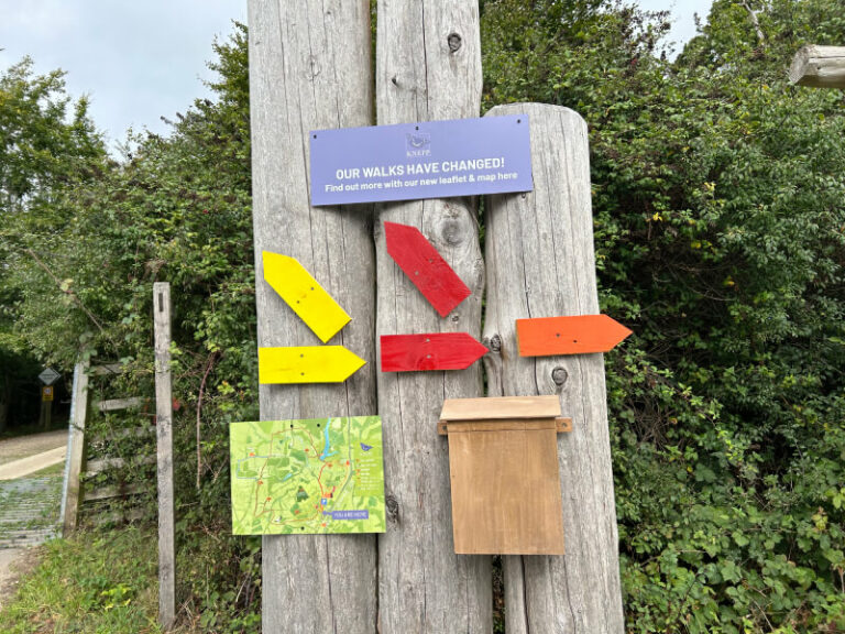 Guide to Visiting the Knepp Estate | West Sussex