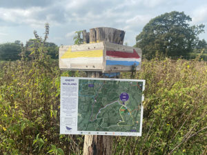 Guide to Visiting the Knepp Estate | West Sussex