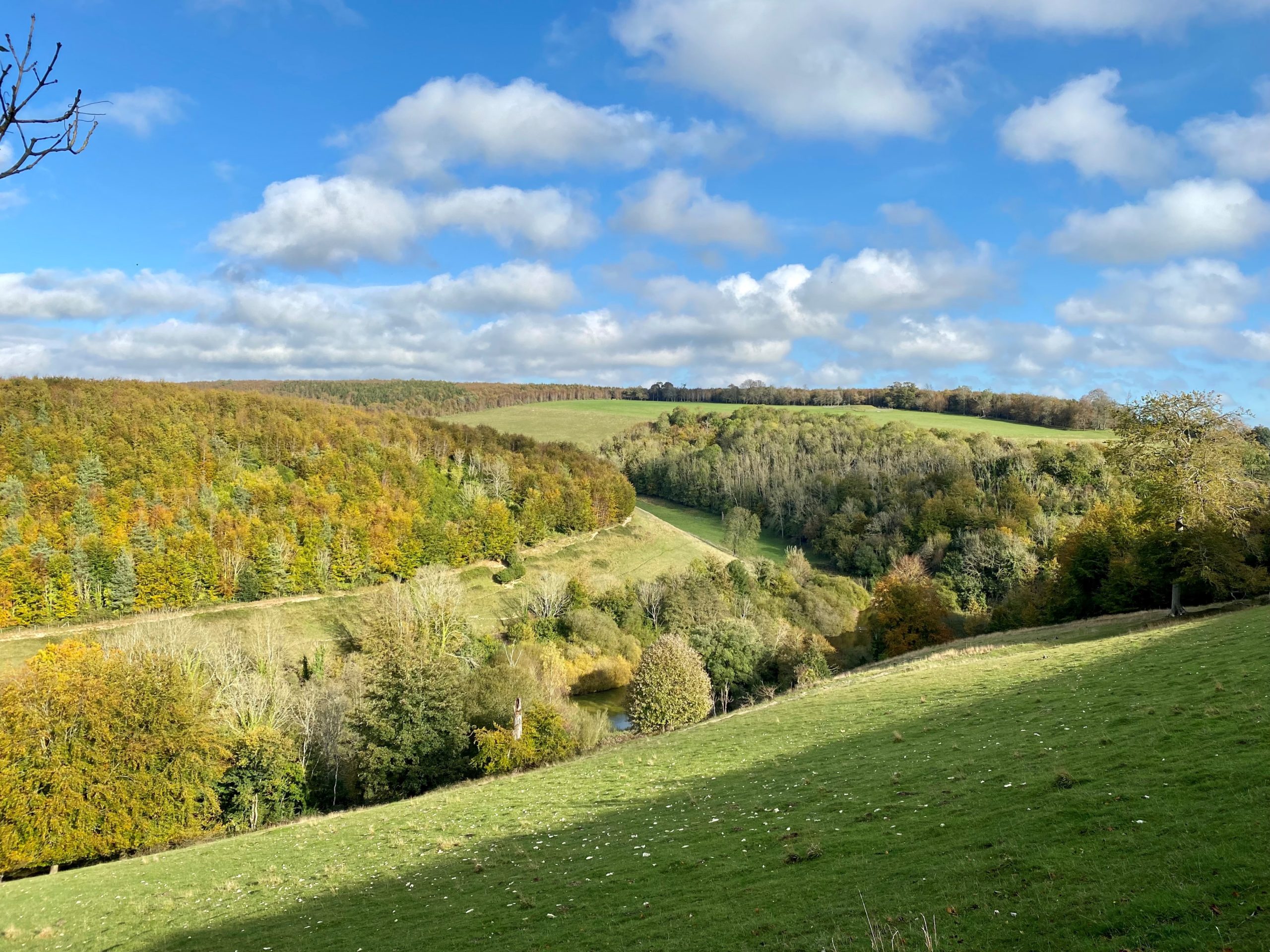 Swanbourne Lake Arundel Circular Walk | Walks in Arundel