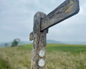 New Lipchis Way | Long Distance Walks Sussex