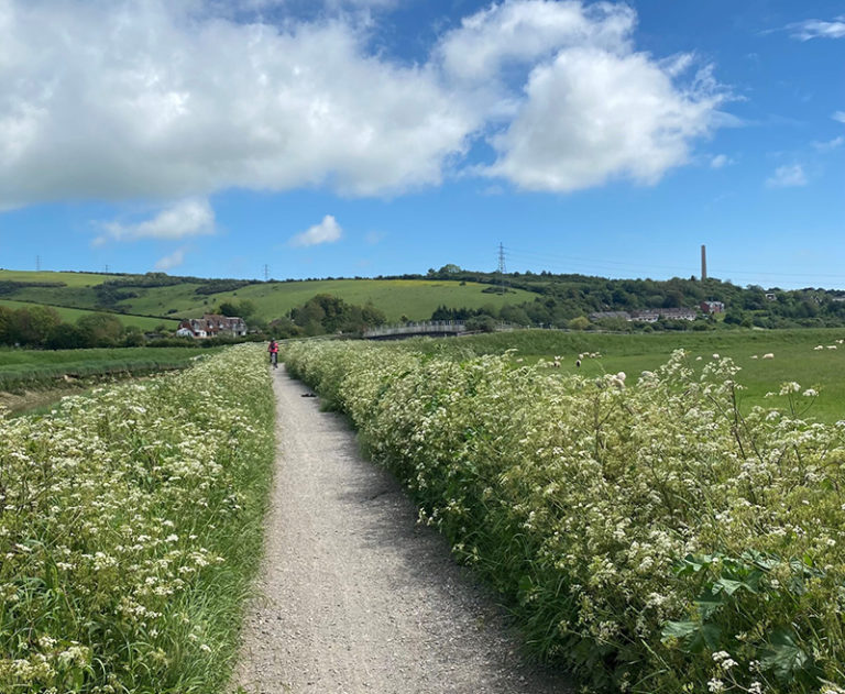 Cycling the Downs Link | Easy Cycling in Sussex