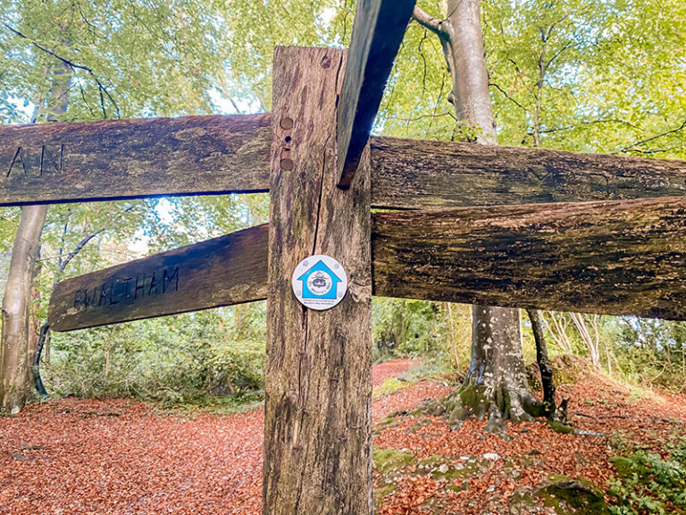 Slindon Estate & Nore Folly Walk | Walks around Slindon West Sussex