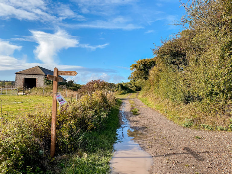 Slindon Estate & Nore Folly Walk | Walks around Slindon West Sussex