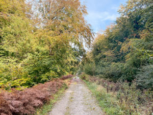 Slindon Estate & Nore Folly Walk | Walks around Slindon West Sussex