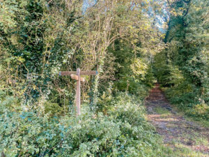 Slindon Estate & Nore Folly Walk | Walks around Slindon West Sussex