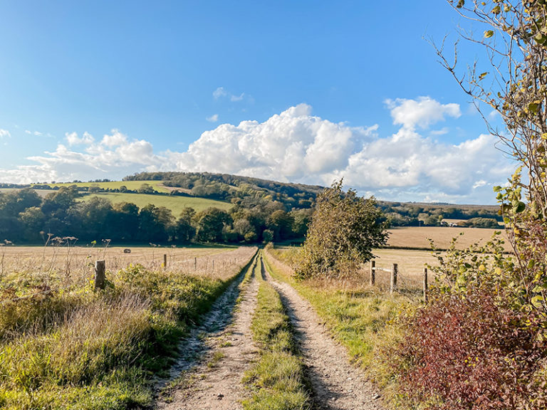 Balcombe Viaduct and Ardingly Reservoir Walk | Balcombe Circular Walk