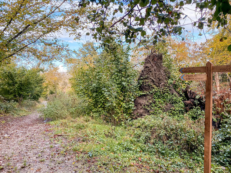 Slindon Estate & Nore Folly Walk | Walks around Slindon West Sussex