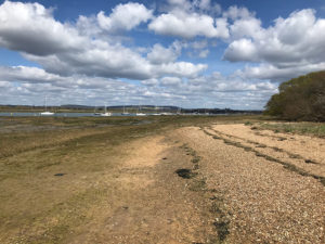 Bosham Circular Walk - Discover Sussex