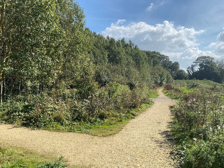 Sandgate Park Walk | Fairy Bridge Walk Storrington