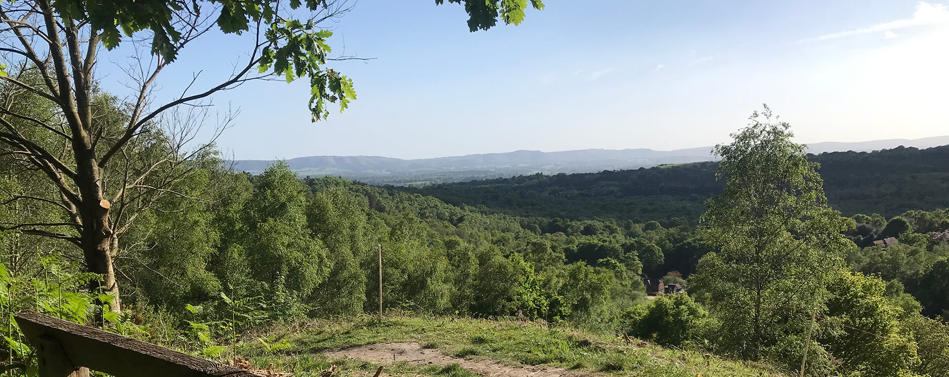 Woolbeding Common Circular Walk | Serpent Trail