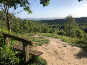 Woolbeding Common Circular Walk | Serpent Trail