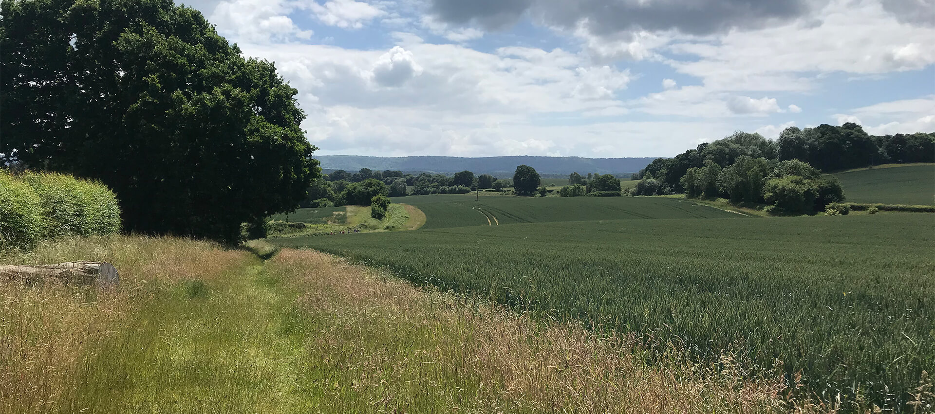14km Cowdray Estate, Lodsworth and Selham Walk | Midhurst