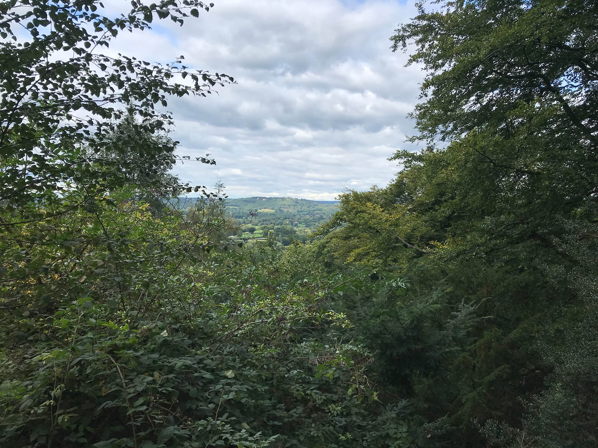 Visit Midhurst | Discover Sussex
