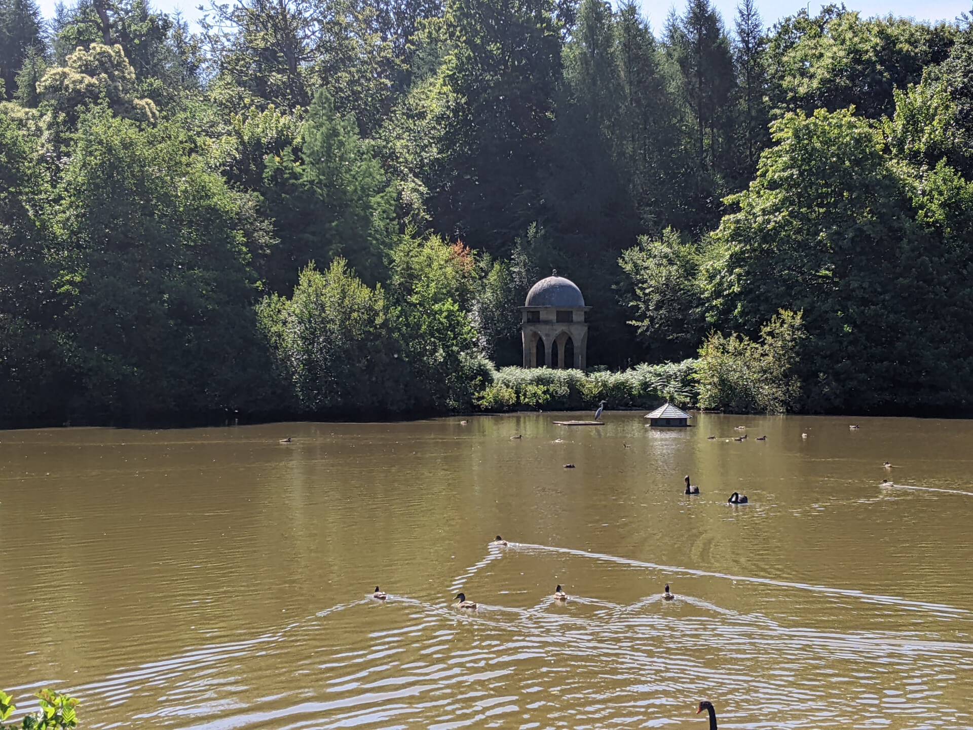 Benbow Pond Circular Walk | Discover Sussex