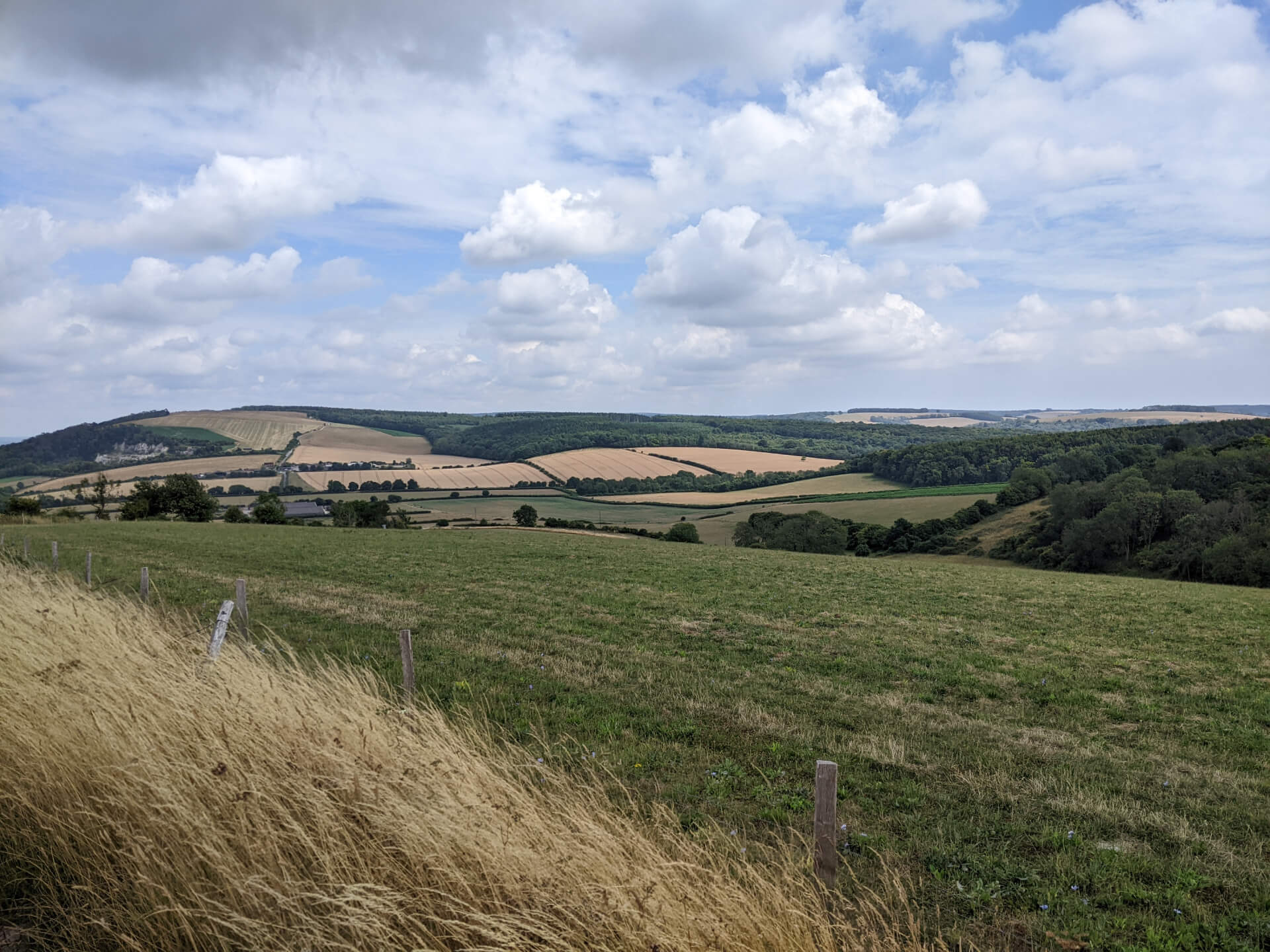 Cocking to Singleton Circular Walk | West Sussex